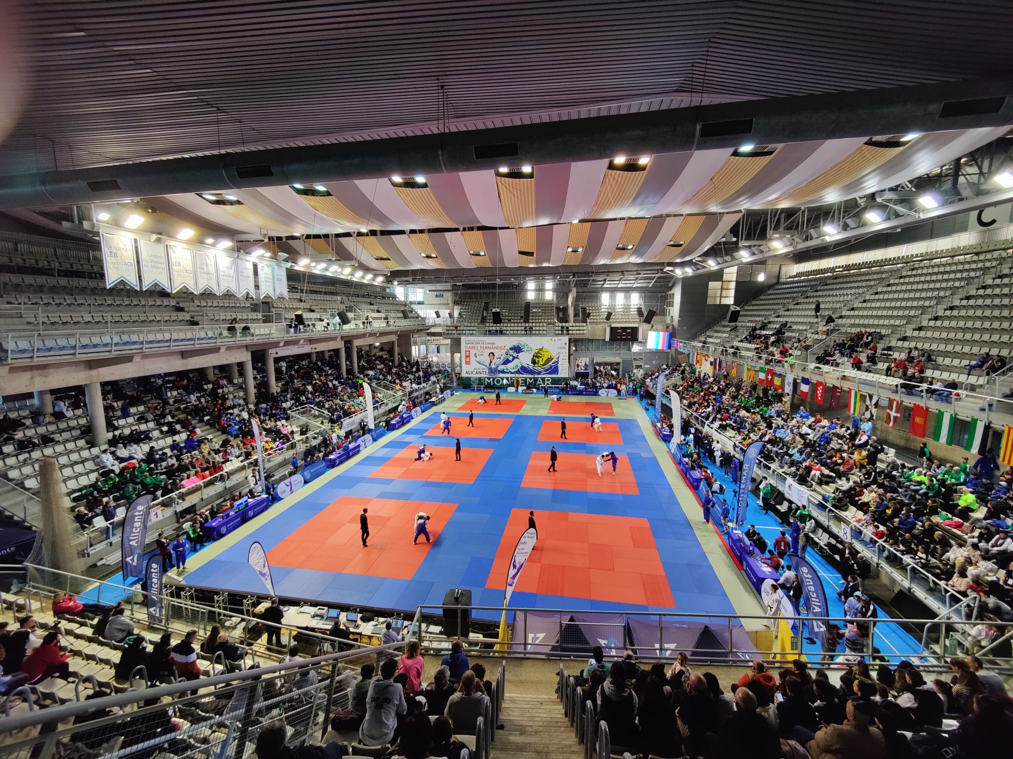 La fiesta del judo nacional cobra vida en Alicante - El Polideportivo CV