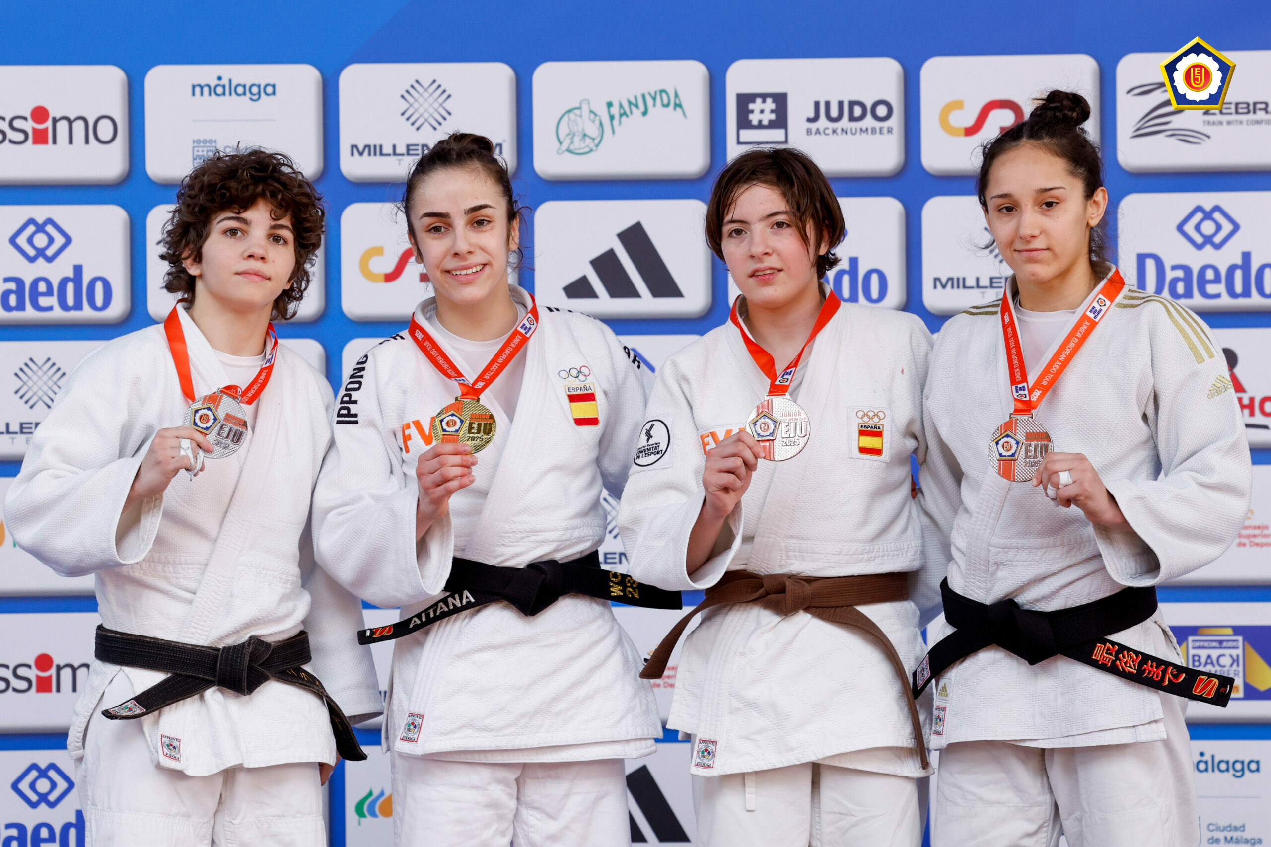 Media docena de medallas internacionales para el judo valenciano - El ...